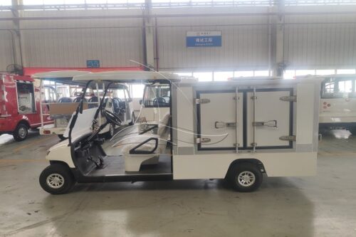Electric Food Delivery Golf Cart |unique shape |places |advantages